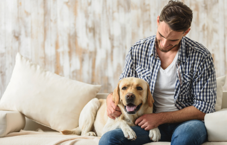 Men's Health - Petcover AU