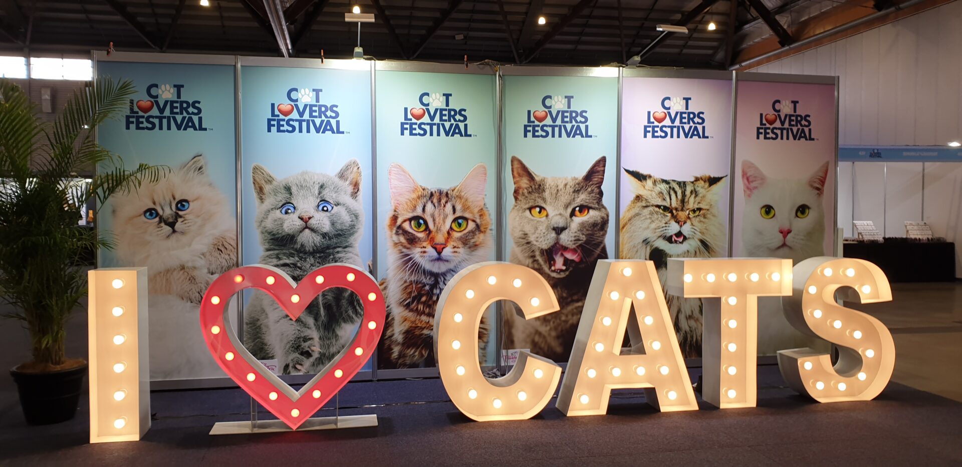 Petcover Goes to the Cat Lovers Festival Sydney - Petcover AU