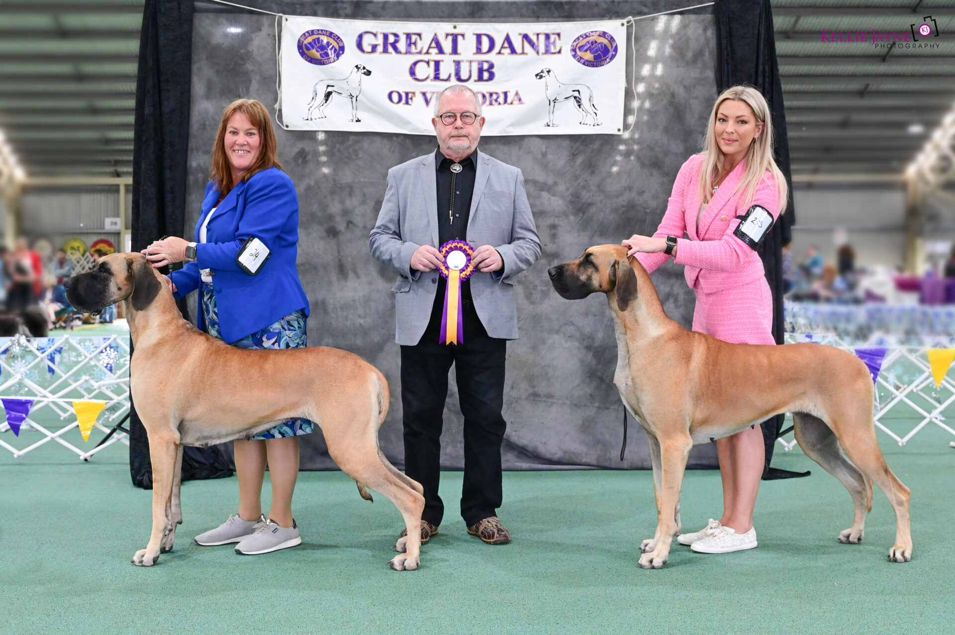 Petcover sponsors the Great Dane Club of Victoria - Petcover AU