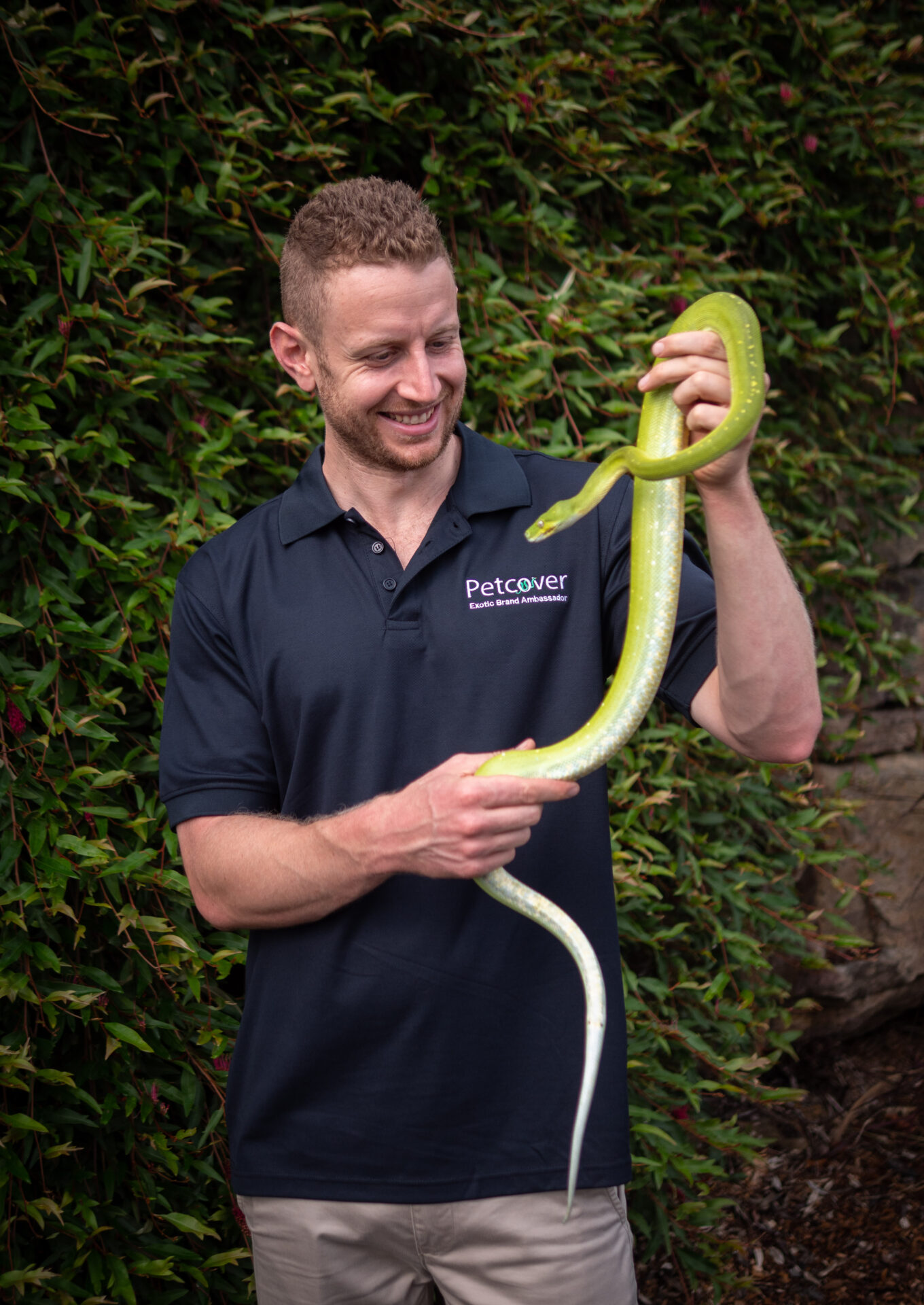 Protecting Your Unique Companion: The Importance of Exotic Pet ...