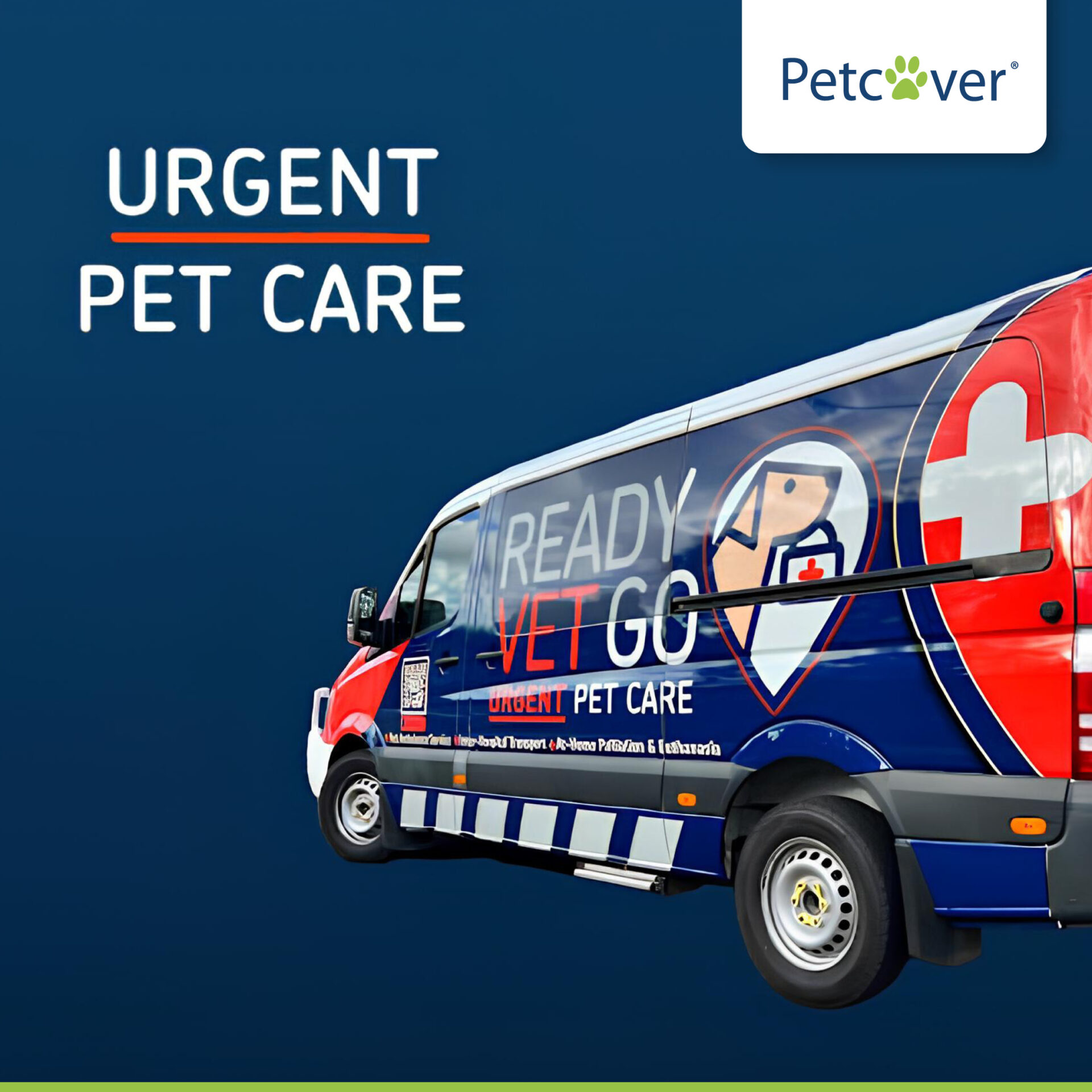 All you need to know about the amazing Ready Vet Go! - Petcover AU