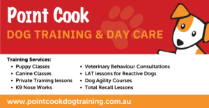Introducing our partner Point Cook Dog Training | Petcover Blog