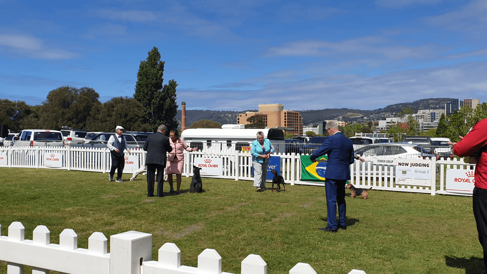 Pawsitive Experience at the Royal Hobart Show | Petcover Blog