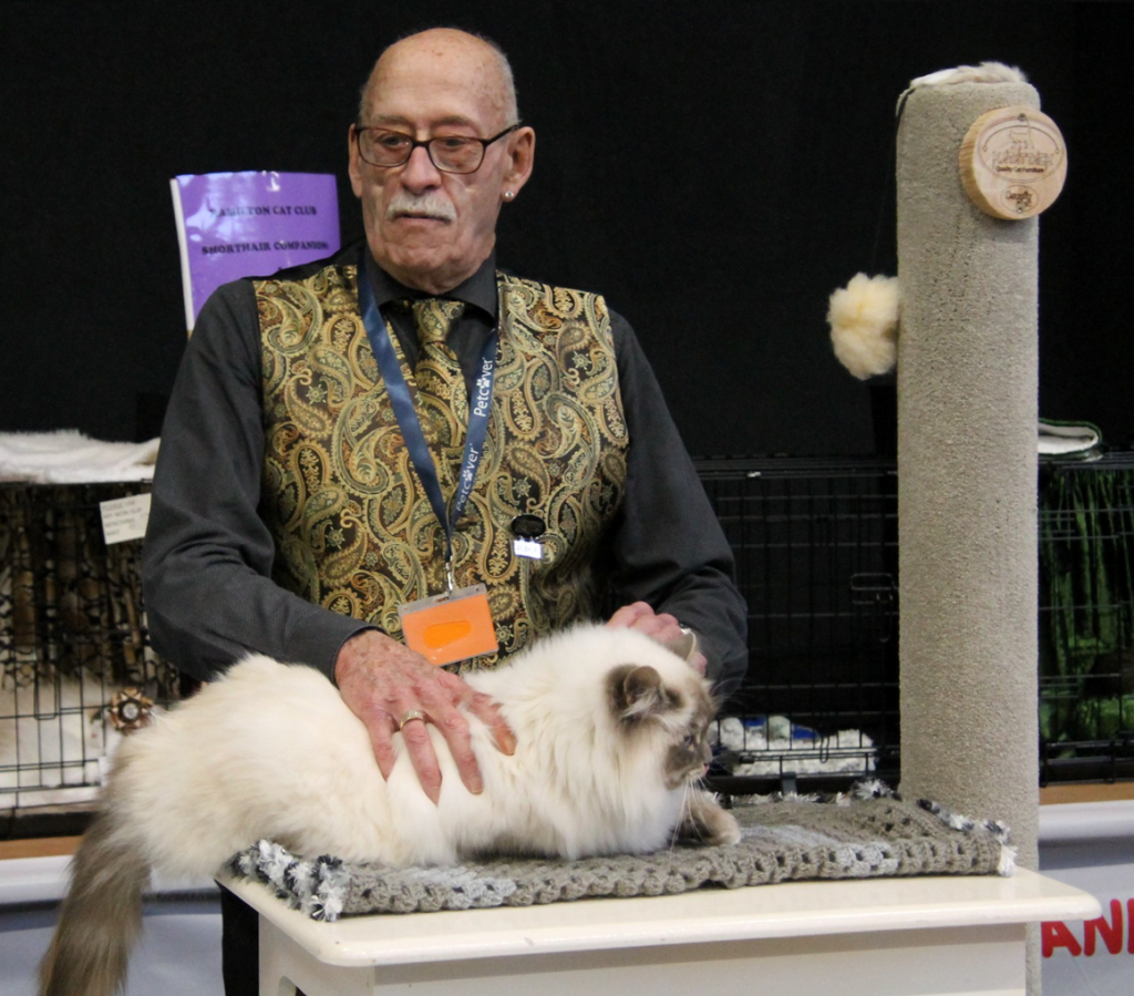 A day for Cat lovers at the 71st Annual Hamilton Cat Club Show ...