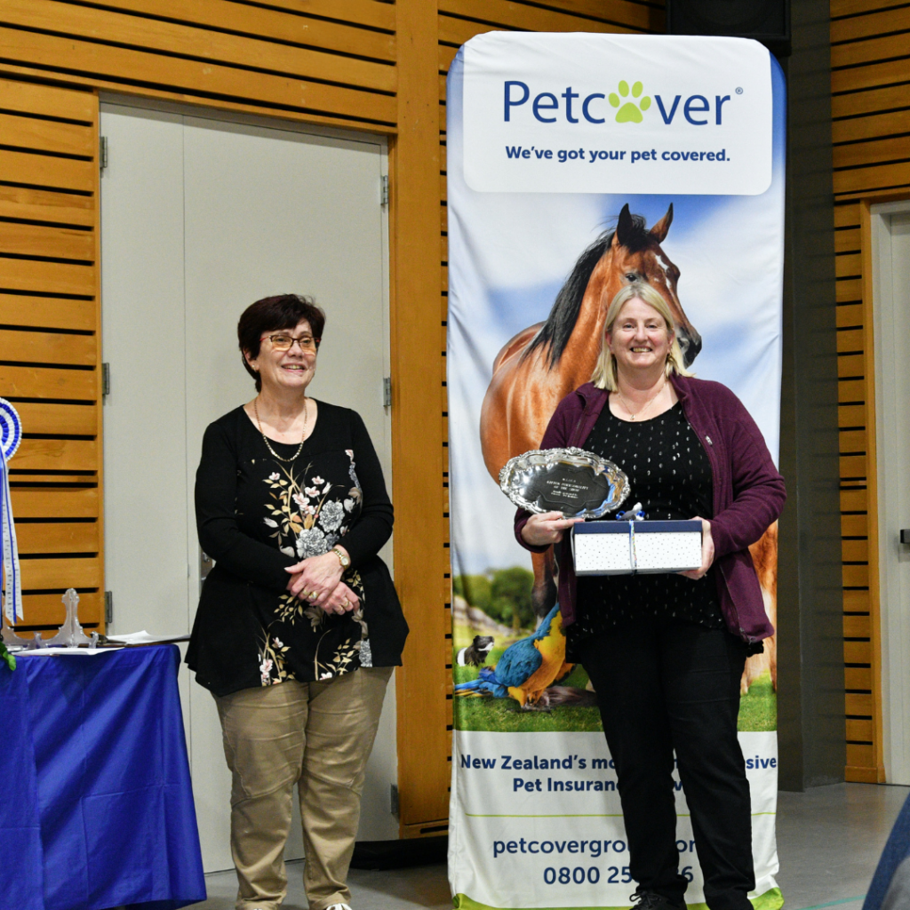 New Zealand Siamese Cat Association Annual Show 2023 - Petcover NZ