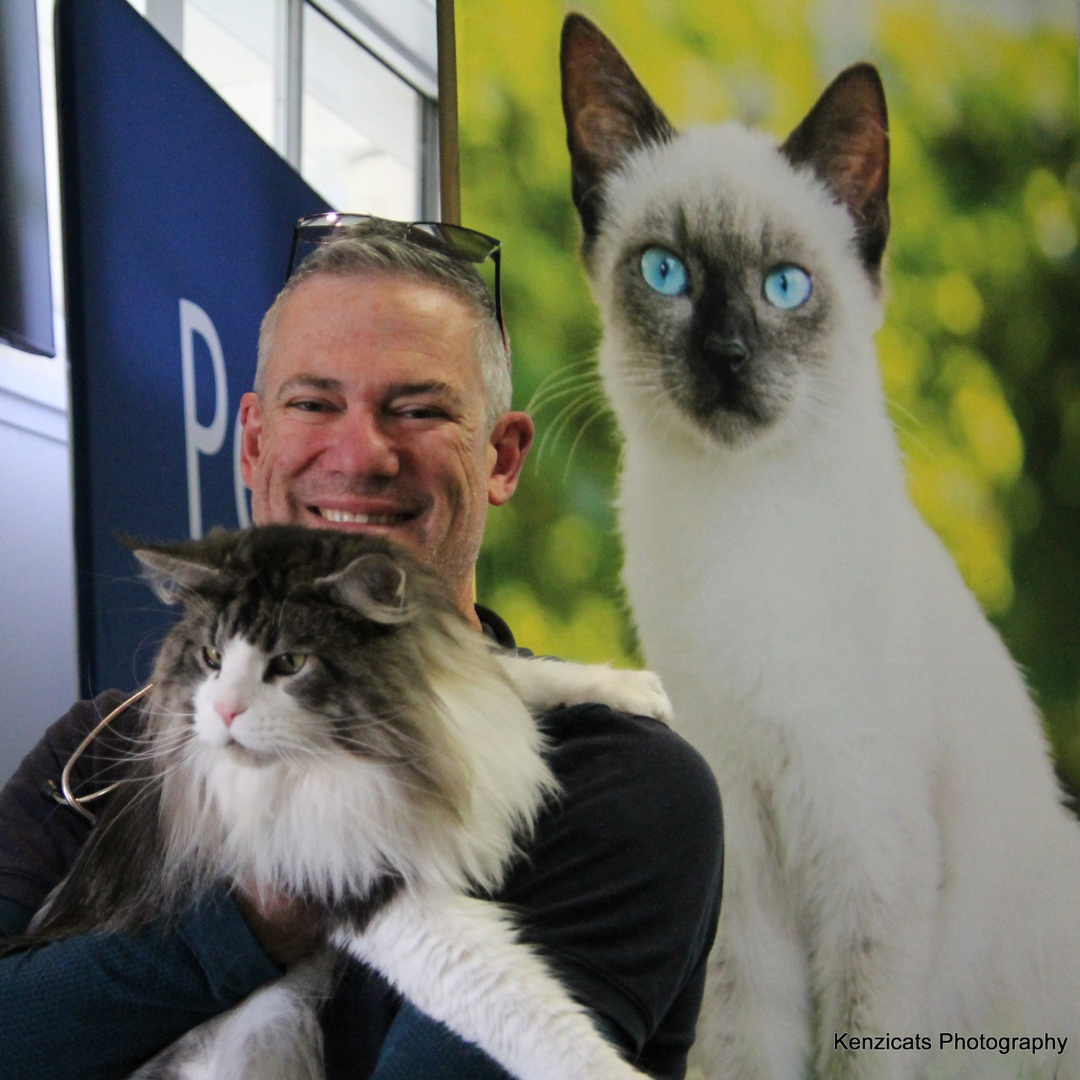 Patches and Pointed Inc. Cat of the Year 2023 Show - Petcover NZ