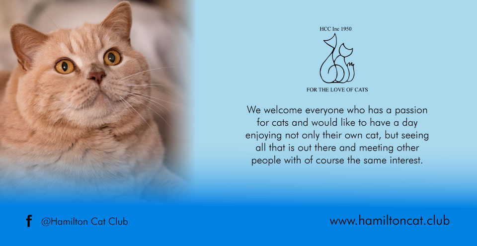 Petcover Sponsors the Hamilton Cat Club - Petcover NZ