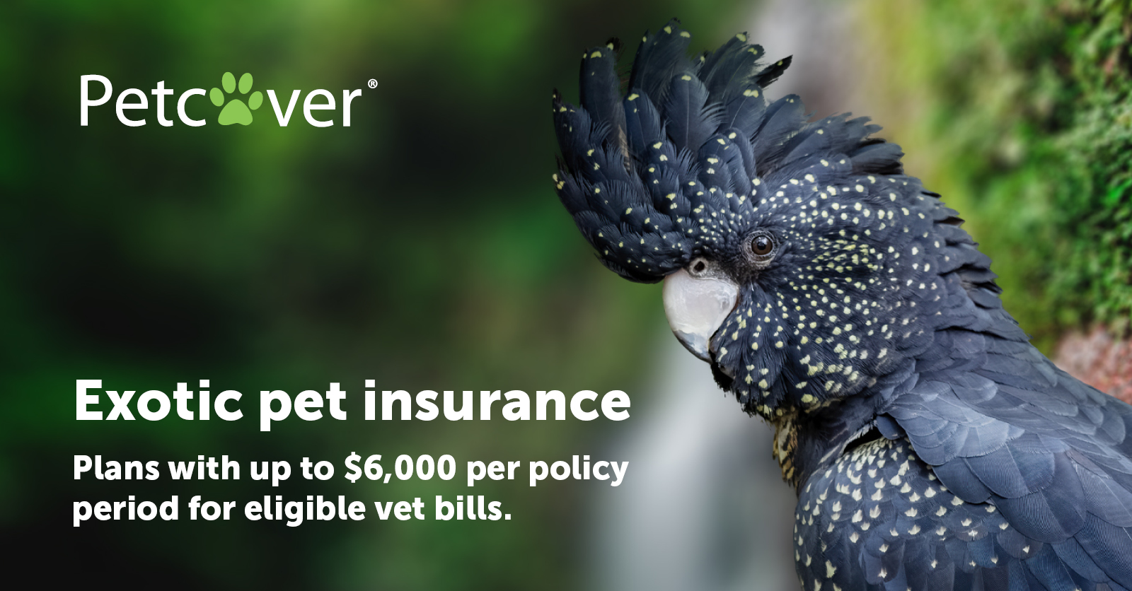 Exotic Pet Insurance from Petcover Australia
