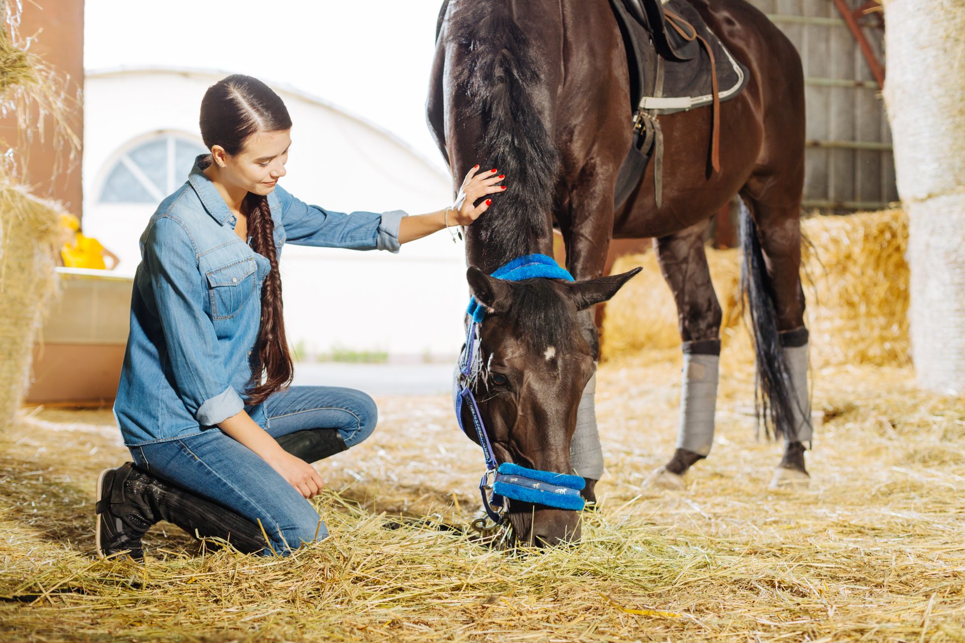 What is horse liability insurance? - Petcovergroup UK